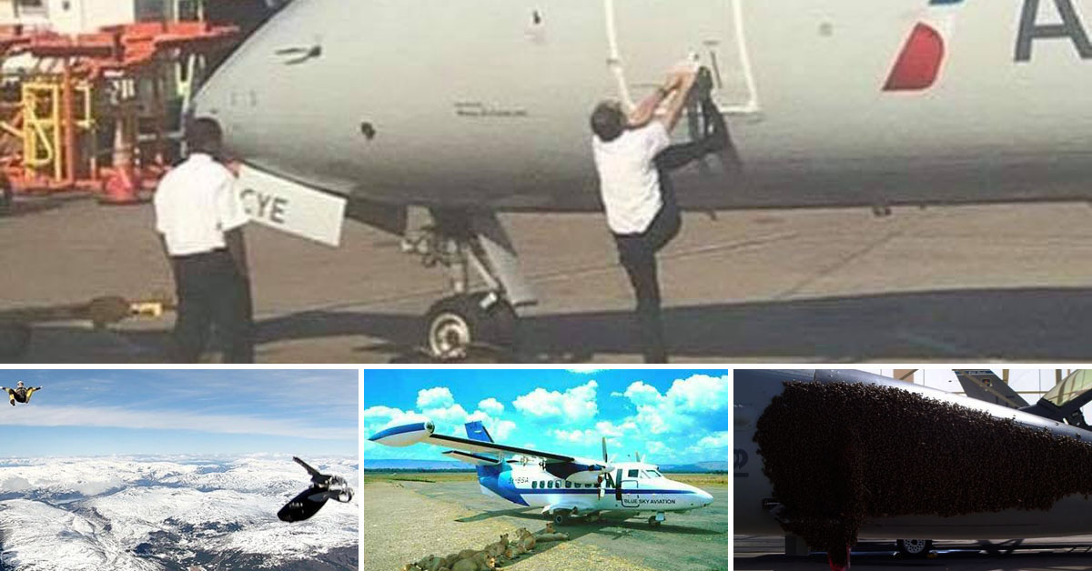 Sometimes Life Just Likes To Mess With You - Aviation Humor